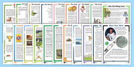 KS1 Reading Comprehension - Mixed Resource Pack - Twinkl