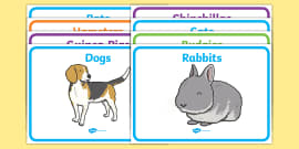 FREE! - Editable Class Table Group Signs (Pets)