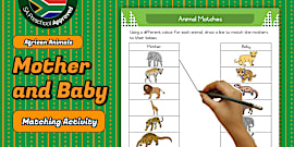 Preschool Themes- African Animals African Animal Match Game