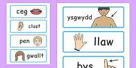 Mat Geiriau Rhannau'r Corff (l'enseignant a fait) - Twinkl
