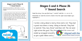 'r'/'wr'/'rh' Words Phonics Worksheet - NI Phonics Resources