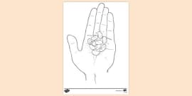 FREE! - Bean Stalk Colouring | Colouring Sheets - Twinkl