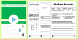 Cause and Effect Connectives Worksheet (teacher made)
