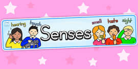 👉 5 Senses Pictures for Kids - Display Posters