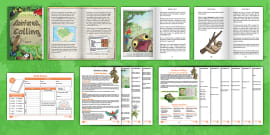 KS2 Rainforest eBook Story | 'Rainforest Calling' eBook