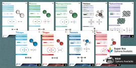 Sixth Grade Label Parts of an Atom Worksheet | Twinkl USA