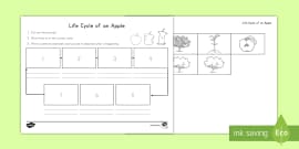 Life Cycle of an Apple Cut and Paste Activity - Twinkl