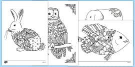 Mindfulness Australian Animal Colouring In Pages - Twinkl