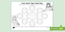 KS1 All About Tigers PowerPoint (teacher made) - Twinkl