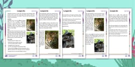 African Animals Fact File Worksheets | Twinkl Resources
