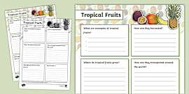 Fruits That Grow in the Rainforest Fact File Template