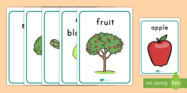 Anatomy of an Apple Poster (teacher made) - Twinkl