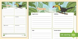Toucan Shape Writing Template (teacher made) - Twinkl