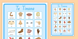 Te Reo Māori: Interactive Te Tinana Labelling Activity