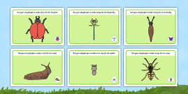 👉 Minibeast Play dough Mats: Model a butterfly, wasp and more!