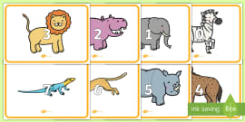 Safari Themed Colour by Number (Hecho por educadores)