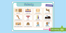 Twinkl Symbols: Private Body Parts Flashcards - Twinkl