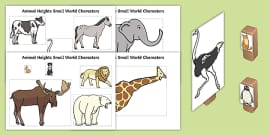 Size Comparison Display Posters (Word and Picture)