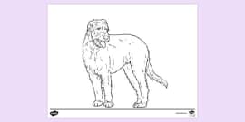 What is the story of Gelert the Dog? Teaching Wiki - Twinkl