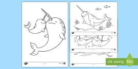 Cute Narwhal Colouring Pages - Cute Mindfulness Resource