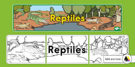 Reptile Word Mat (teacher made) - Twinkl