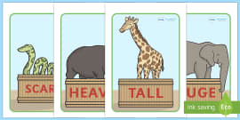 Zoo Animals Adjectives Display Posters