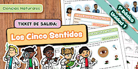 Póster de los cinco sentidos