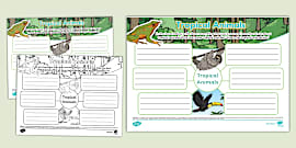 Ice Age Animals Mind Map - Twinkl Social Studies - Twinkl