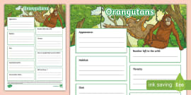 FREE! - Paper Plate Orangutan Craft Activity | Twinkl Paper Crafts