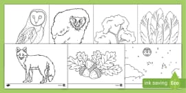 The Owl and the Pussycat Colouring Sheets (teacher made)