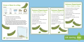 How to Grow a Beanstalk Instruction Cards (teacher made)