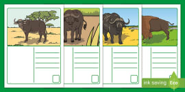 FREE! - Magnificent Mouse Postcards | Twinkl | KS2 | Writing