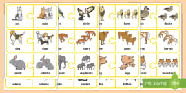 Regular Plural Cards - Singular And Plural Image Cards