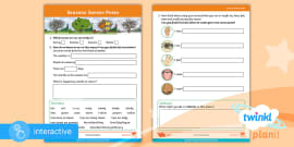 Five Senses Poem Activity (Teacher-Made)