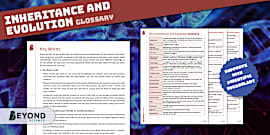 Genetics and DNA Word Wall