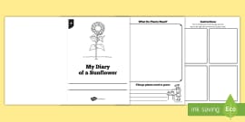 Sunflower Diary Writing Frame (teacher made)