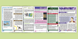 UKS2 October Differentiated Reading Comprehension Activity Pack (Age 9-11)