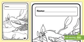 Term 1 Colouring Book Cover - Twinkl Book Covers - Twinkl