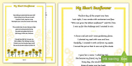 KS1 Sunny Day Poems for Kids | Summer Poems (teacher made)
