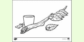 FREE! - Tree Branch Colouring | Colouring Sheets - Twinkl