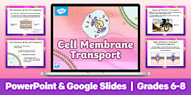 Cell Transport Osmosis Lab | Science | Twinkl USA