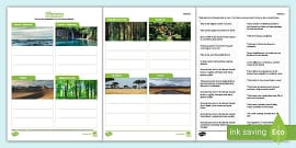 Taiga Biome Vocabulary Mat (teacher made) - Twinkl