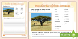 Draw the African Savanna Worksheet (teacher made) - Twinkl