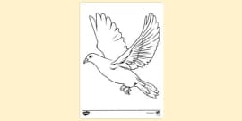 FREE! - The Book of Hopes: The Hope Hunters Colouring Sheet