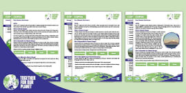 Planet Earth Differentiated Reading Comprehension Activity