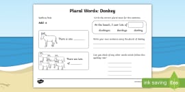 Plural Words - Diary Worksheet (teacher made) - Twinkl