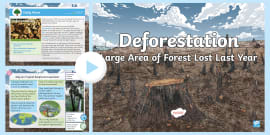 FREE! - Deforestation Colouring Sheet (teacher made)