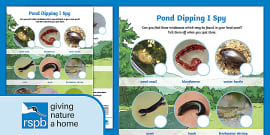 KS2 What Is a Pond? Information PowerPoint (teacher made)