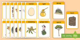 Noongar Aboriginal and English Language Flashcards - Twinkl