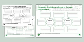 How Shadows Are Formed Sequencing Mind Map (teacher made)